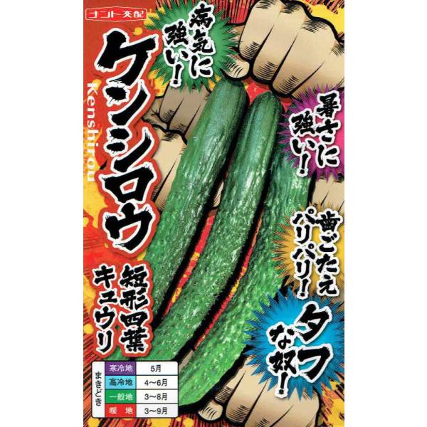 おいしい果皮は濃緑で薄く、歯切れが良くてサラダ・漬物で食味良好。作りやすいウドンコ・ベト・ウィルス病に強く、葉が小葉なので曲がりが少なく秀品率が高い。収量が多い樹勢は強めで側枝の発生は多く、初期から着果が多い。