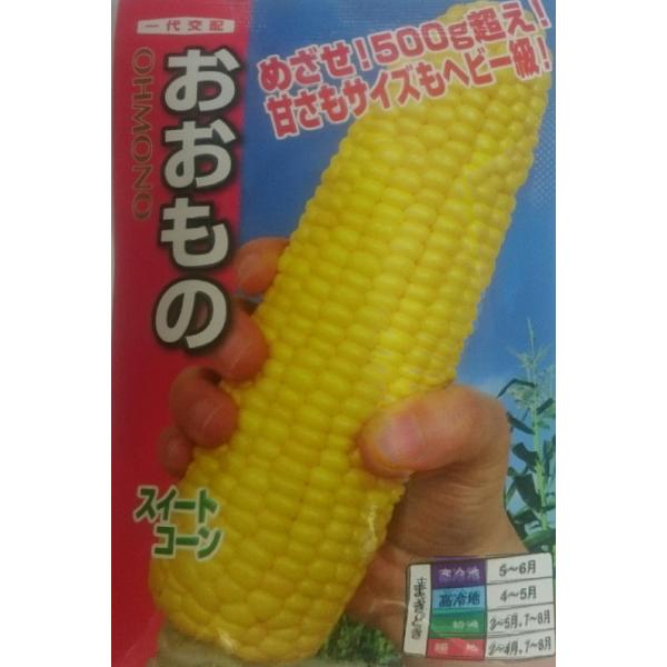 ビッグサイズ！しかも高糖度でジューシーな食感が自慢です！長さで重量を出すタイプなので可食率が極めて高い！