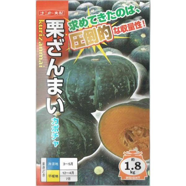 草勢はかなり強くバテにくく、最後まで蔓が残りやすい。果実はやや扁平で、着果数も多く収量性が高い豊産種。成熟日数は48〜50日で、中晩性タイプ。貯蔵中の腐りが非常に少ない。