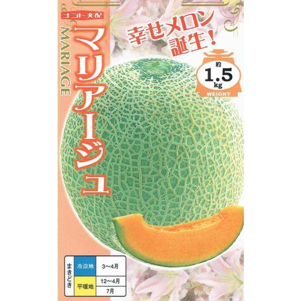 美しい外観と極上の食味を兼ね備えた地這系赤肉ネットメロンです。つる割れ病レース0.2に抵抗性で、ツル持ちも良い。メロンの種子,メロンのタネ,めろんの種子,めろんのタネ,マリアージュの種子,マリアージュのタネ,まりあーじゅの種子,まりあーじゅ...