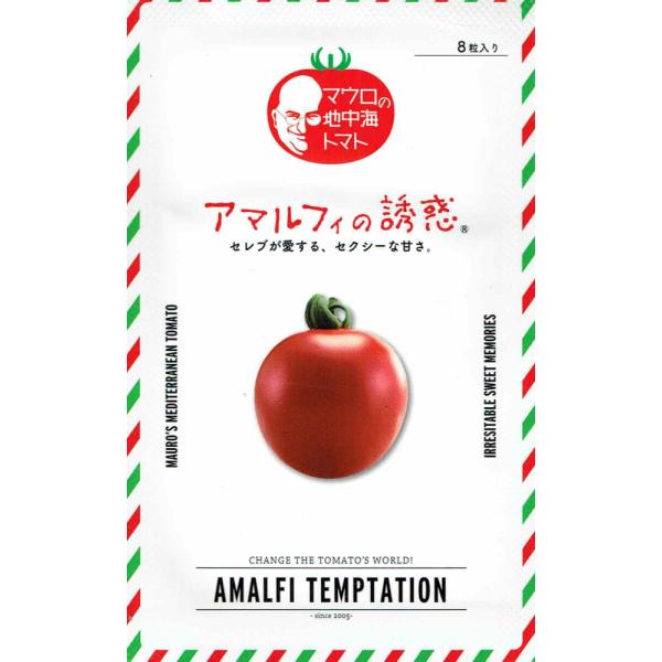 赤色の中玉トマト、また探したくなるような官能的な美味しさ。早生、中葉でやや伸び採光性が良い。花数は10〜15花/房程度、球形で35〜40g/果。酸味と甘味のバランスが良く、Brix7〜8度