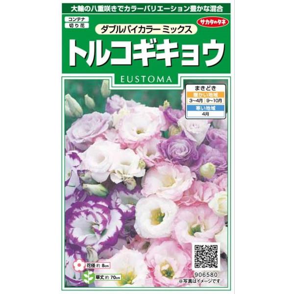 水揚げ、花もちがよく夏の切花として人気がある花です。豪華な大輪で八重咲きの花形とバラエティーに富んだ花色が魅力的です。雨のあたらないところでのコンテナ植えに適します。<br><br>[【種子】][【花】][【トルコキ...