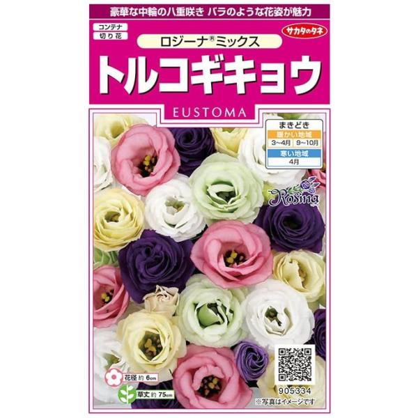 バラと間違えてしまうほど整った中輪で八重の花形と美しい色調が魅力的です。雨のあたらないコンテナ植えに適します。発芽温度は20℃前後でこの温度を維持するよう管理します。<br><br>[【種子】][【花】][【トルコキ...
