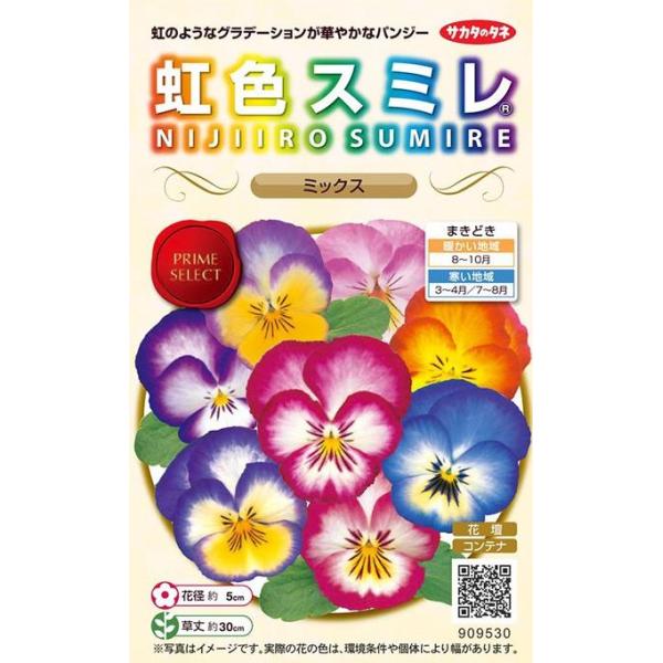 花径約5cmの中輪で、虹のようなグラデーションが華やかな印象を与えてくれます。1株ごとに微妙に変化する花色が、コンパクトな草姿に鮮やかに咲きます。<br><br>[【種子】][【花】][【パンジー・ビオラ】][JAN: ]