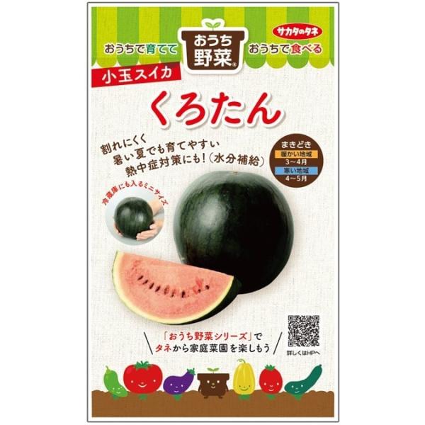 割れにくく、暑い夏でも育てやすい黒皮の小玉スイカです。重さが2〜2.5kg前後で、冷蔵庫にも入るミニサイズです。肉質は硬く、シャリ感があり甘みが強く真夏の水分補給にもおすすめです。小玉スイカの種子,小玉スイカのタネ,小玉すいかの種子,小玉す...