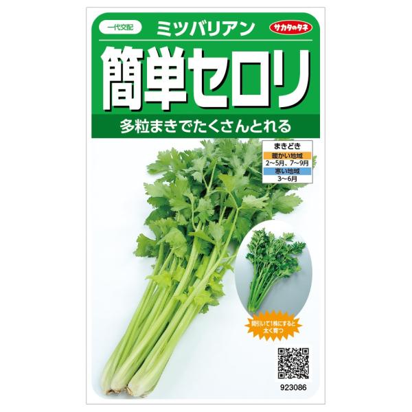 葉や茎の色が緑鮮やかで、香りのよいセロリです。生育旺盛で脇芽が少なく、密植・若どり栽培に向きます。株元の繊維が残らず、歯切れがよいため、サラダにおすすめですが、スープ・煮物・漬け物などにも幅広く利用できます。