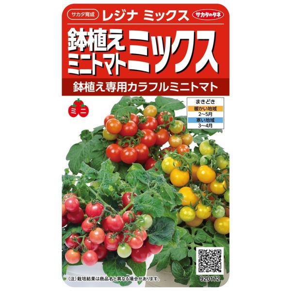 観賞・鉢栽培専用のミニトマトです。草丈は15〜20cmくらいで、支柱などの支えはいりません。かわいらしい実がたくさんつき、食べることもできます。赤、黄色、ピンクのミックスです。鉢植えミニトマトの種子,鉢植えミニトマトのタネ,鉢植えみにとまと...
