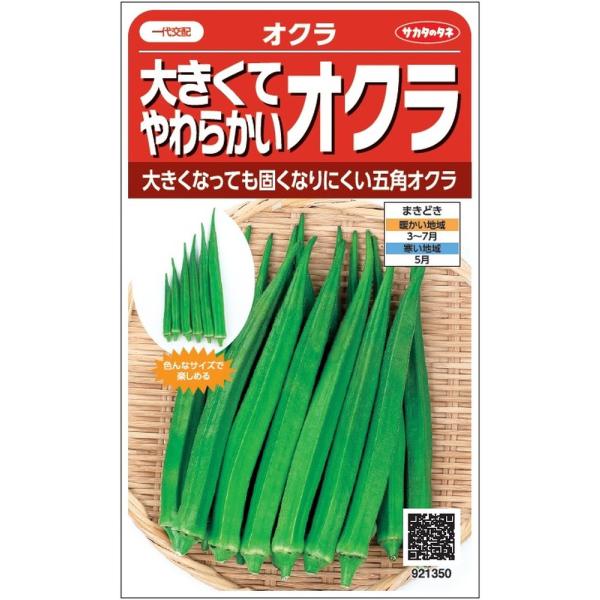莢長20cmでもスジが入りにくく、柔らかい五角オクラです。播種後50日で収穫の早生タイプで低節位から着莢します。莢径1.8cm、莢長18cmの場合、莢重は約20gになります。