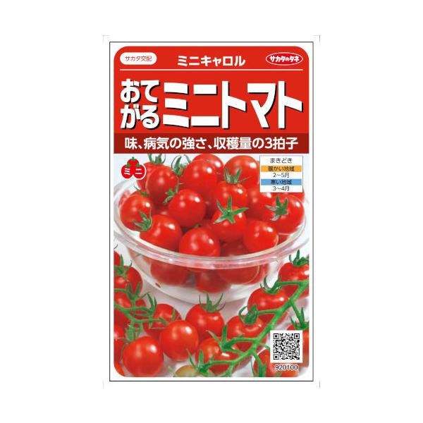 つくりやすく、たくさんとれる人気のミニトマトです。果実は1花房当たり30〜50果ほどつき、粒の大きさや甘さがしっかりとそろいます。病気に強いので低農薬栽培ができます。