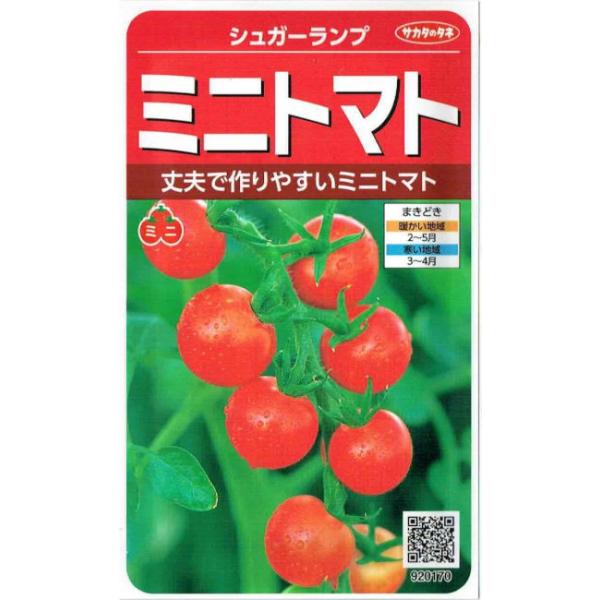 世界的に有名なミニトマトの代表格です。直径3cm程度の甘い実が鈴なりにつきます。プランターや大鉢でつくりやすい家庭菜園向きミニトマトです。<br><br>[【種子】][【野菜】][【果菜類】][【トマト】][JAN: ]