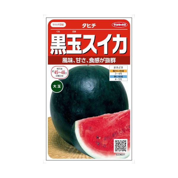黒皮の大玉スイカの超人気品種です。病気に強くて作りやすく、重さは7〜8kgにもなります。鮮やかな紅赤色、糖度は約12度、肉質はしまり、日もち・食味がとくにすぐれています。