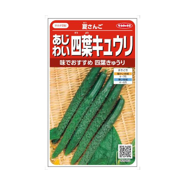 おいしくてつくりやすい四葉キュウリで、歯切れがよく、とくに漬物に向きます。長めの果実は濃緑色、ボリュームがあってよくそろいます。主枝には3〜4節ごとに、側枝は1〜2節ごとに着果します。<br><br>[【種子】][【...
