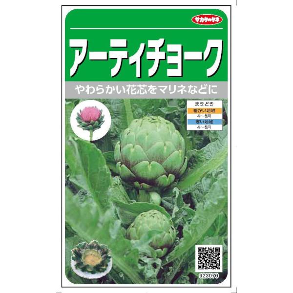地中海沿岸原産でアザミに似た大型のキク科の多年草で、チョウセンアザミとも呼ばれ、開花前の大きなつぼみを切り取り、肉厚の花托（花床）と総苞片の下部の肉を食べます。観賞用にもなります。
