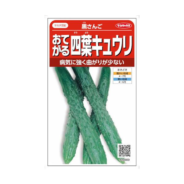歯切れがよくておいしい短めの四葉系キュウリで、生食や漬物に向きます。果実は濃緑色で、主枝は2〜3節ごとに、側枝は1〜2節ごとに着果し、収穫期前半の収量はきわめて多くなります。<br><br>[【種子】][【野菜】][...