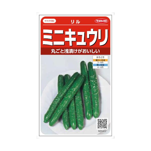 サラダ・浅漬けに適するミニキュウリ。病気に強い家庭菜園向きの品種です。各枝にはたくさんの雌花が着き、たくさん収穫できます。