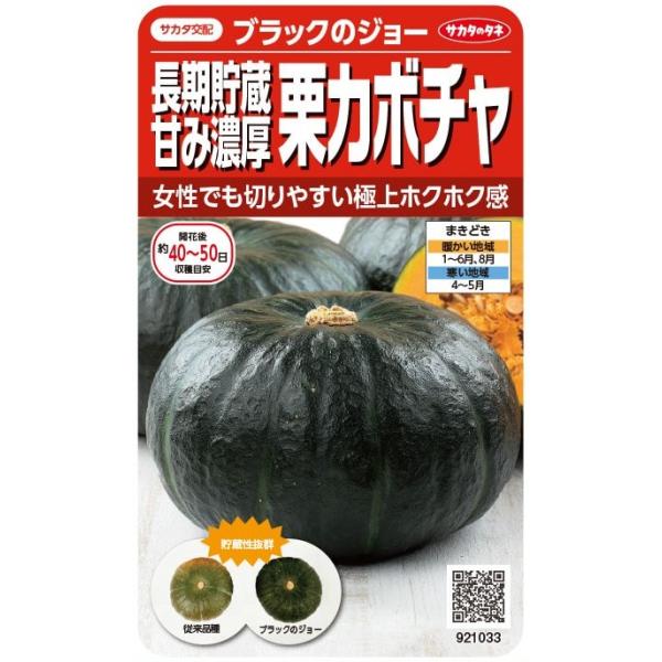 貯蔵性が優れ、皮色がツヤのある漆黒の栗カボチャです。絶妙なホクホク感と濃厚な甘みが特長です。放任栽培もできるくらいのつくりやすさ、抜群の実つきのよさを兼ね備えています。