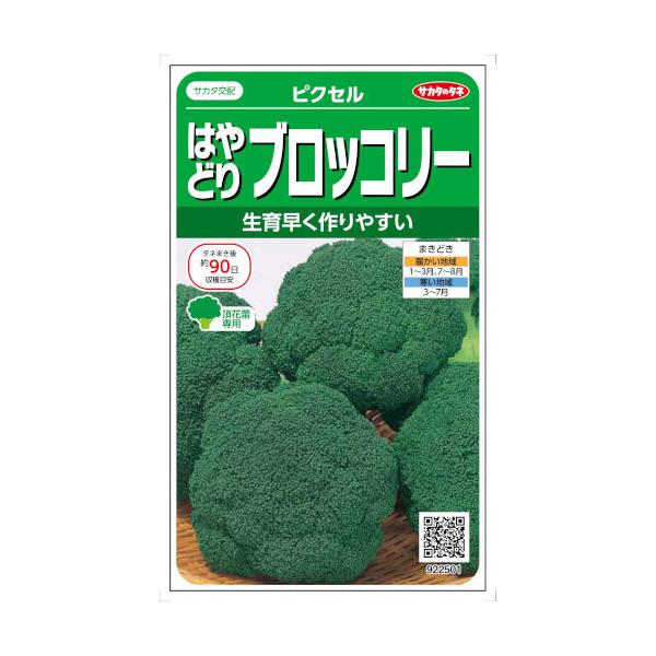 農林水産大臣賞に輝く、春まき・夏まきのできるつくりやすい早生種です。花蕾は濃緑色で大きなドーム型、しまりがよく、花蕾粒はきれいで細かく、日もちもすぐれています。<br><br>[【種子】][【野菜】][【花野菜】][...