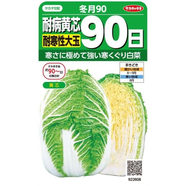 とにかく寒さに強いハクサイ。生理障害や病気にも強く育てやすい。葉は肉葉でクセがなく甘みたっぷり。寒さにあたるほどされに甘みが増しておいしくなります。<br><br>[【種子】][【野菜】][【葉菜類】][【白菜】][...