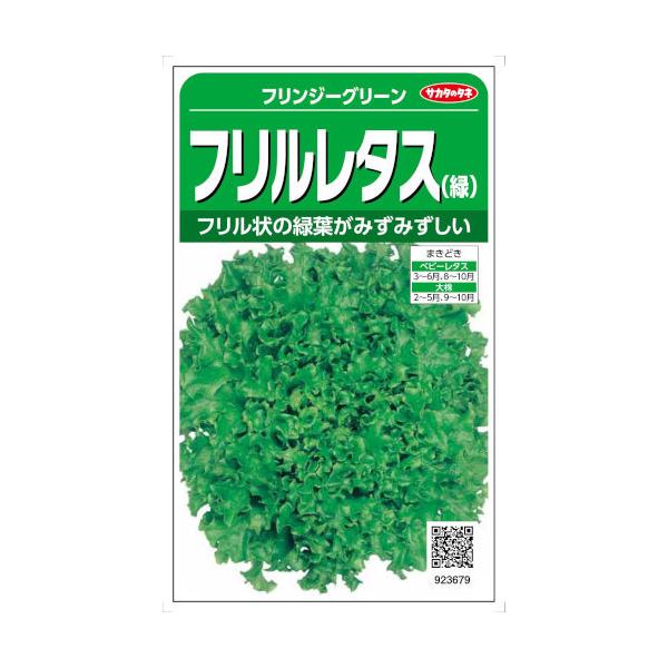 葉の縁がフリル状に縮れ、球にならないレタスです。やわらかくて苦みがなく、おいしく食べられます。サラダなどのほか、寄せ植えや花壇に縁どりに使うなど観賞用にも楽しめます。<br><br>[【種子】][【野菜】][【葉菜類...