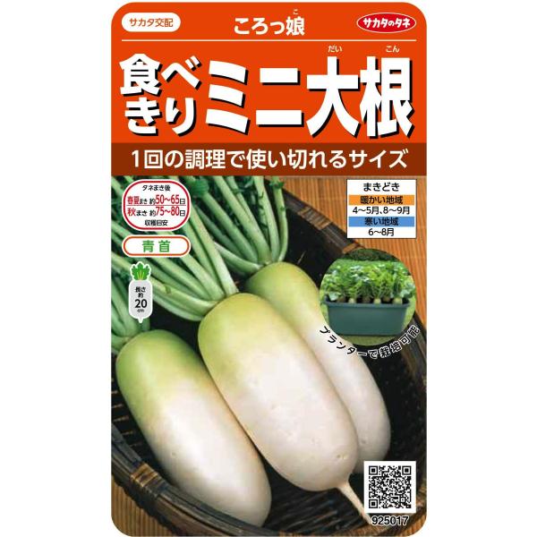 根長20ｃｍ位のミニダイコンです。1回の調理で使いきることができ、歯切れのよい食感を 生かしてサラダや漬け物のほか、おろし、炒め物、煮物と幅広く利用できます。<br><br>[【種子】][【野菜】][【根菜類】][【...