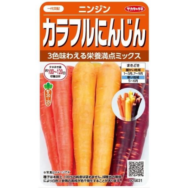 オレンジ・黄色・紫、3色のニンジンをミックスしました。味はクセがなく、甘みのあるおいしいニンジンです。色どりのよさを生かしてサラダはもちろん、色々な料理で楽しめます。