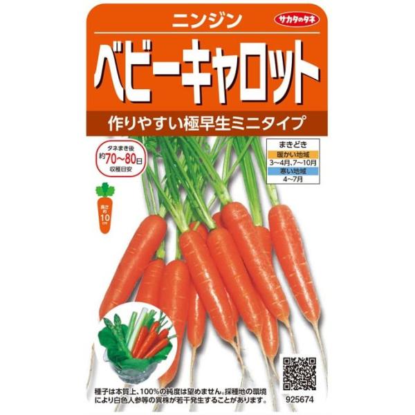 ソーセージ型の極早生ミニニンジンで、家庭菜園向きです。根は柔らかくて、甘みがあり、そのままの形で野菜スティックやサラダに手軽に利用できます。<br><br>[【種子】][【野菜】][【根菜類】][【人参】][JAN: ]