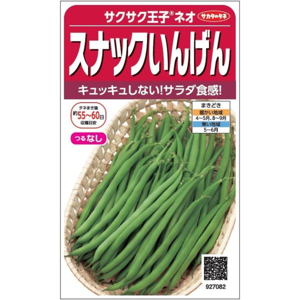 まっすぐで曲がりの無い姿のよさと、その名の通りサクサクッとした食感が特長です。歯切れのよさを生かすには、茹で時間は2分前後。サッとゆでてサラダ食感を楽しめます。