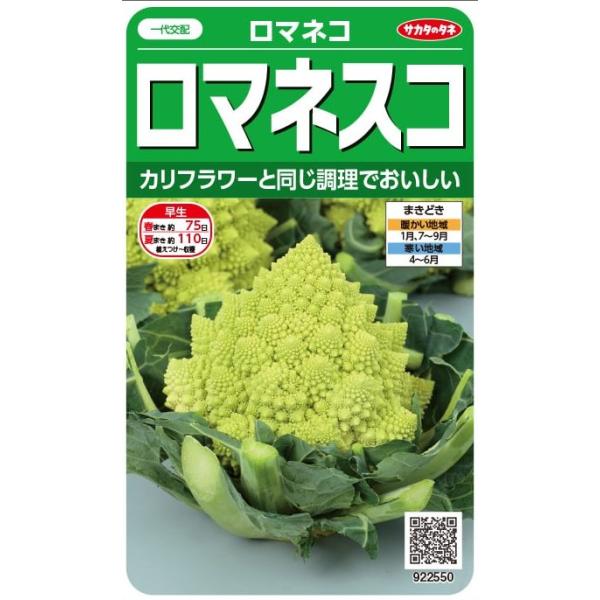カリフラワーと同じように食べます。甘みとコクがあり、生のままスライスしてサラダでもおいしく、ヘルシーに食べられます。クセがなく、栄養価が高いのでお子様のお弁当にピッタリです。