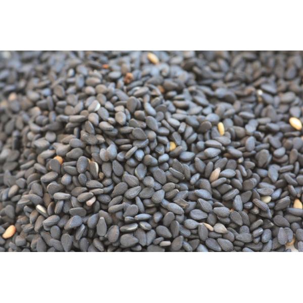 土地を選ばず、どこでも簡単に栽培できる強健種です。含油量が50％内外の健康栄養食品です。草丈1m、〓果は熟せば黒色となり、中に多数種実を宿す。