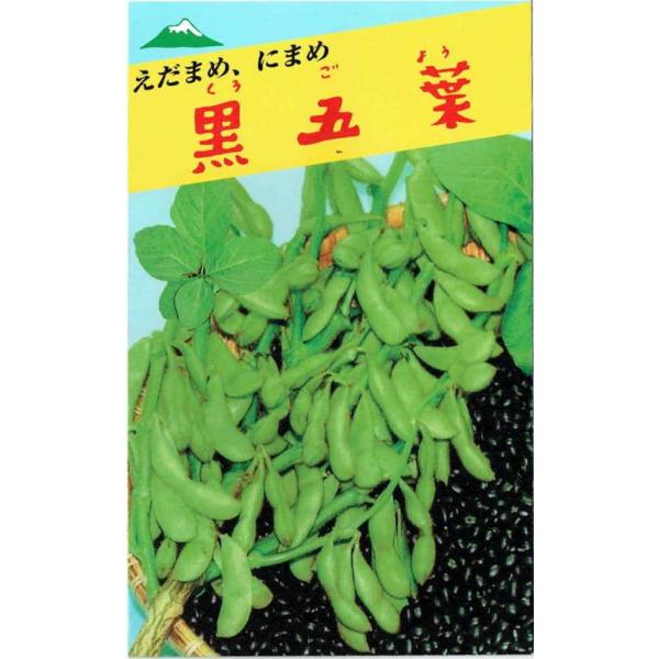 本種は風味、芳香とも豊かな茶毛の中晩生種です。枝豆、正月用煮豆として最適な品種で、黒豆の王様といわれる丹波黒の栽培が困難な東北地方では、丹波黒に匹敵する品種として扱われており、葉が5枚ある事から黒五葉と呼ばれております。