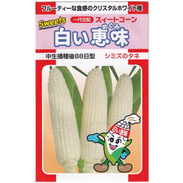 フルーティーな食感のクリスタルホワイト種スイートコーンの種子,スイートコーンのタネ,すいーとこーんの種子,すいーとこーんのタネ,とうもろこしの種子,とうもろこしのタネ,トウモロコシの種子,トウモロコシのタネ,玉蜀黍の種子,玉蜀黍のタネ,白い...