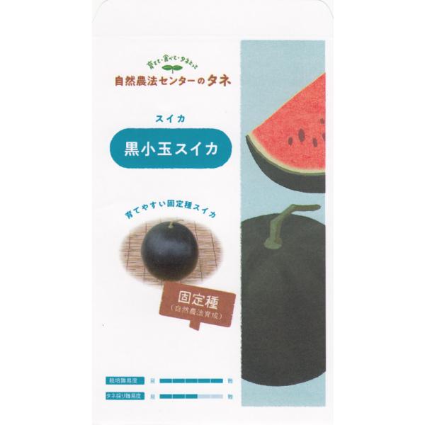 果皮が黒縁でしっかりして裂果に強い。果実は2.5~3kgの小玉種。果肉は濃紅色でシャリ感があり糖度11度前後。成熟日数は7~8月収穫で37~42日。着果性がよく育てやすい。