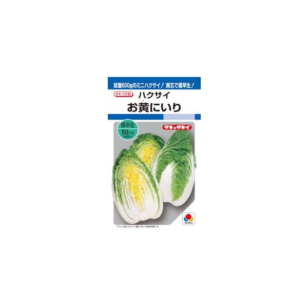球重600gの食べきりサイズで収穫できる黄芯極早生種。小さい面積でも密植できる。肉質は歯切れがよく、サラダにも適する。
