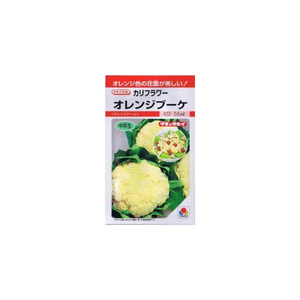 花蕾面は淡いオレンジ色で、ピーマン並みのカロテンを含む。生育は旺盛で作りやすく、結束の必要がない。花蕾の色は調理後も変色せず、食味もよい。