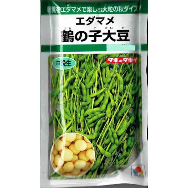 作りやすい中晩性の秋ダイズ。種皮はクリーム色の大粒で品質が特によい。青いうちはエダマメ、熟してはダイズとして利用可能。