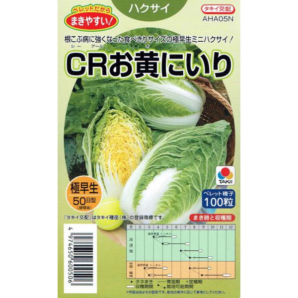 球重600gの食べきりサイズで収穫できる黄芯極早生種。小さい面積でも密植できる。肉質は歯切れがよく、サラダにも適する。