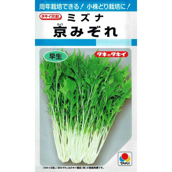 生育が旺盛で株ぞろいにすぐれ、小株どり栽培に適する。葉は鮮緑色の細葉で切れ込みが多く、葉軸は純白で品質がよい。食感がよくアクが少ないので、サラダなど用途が広い。