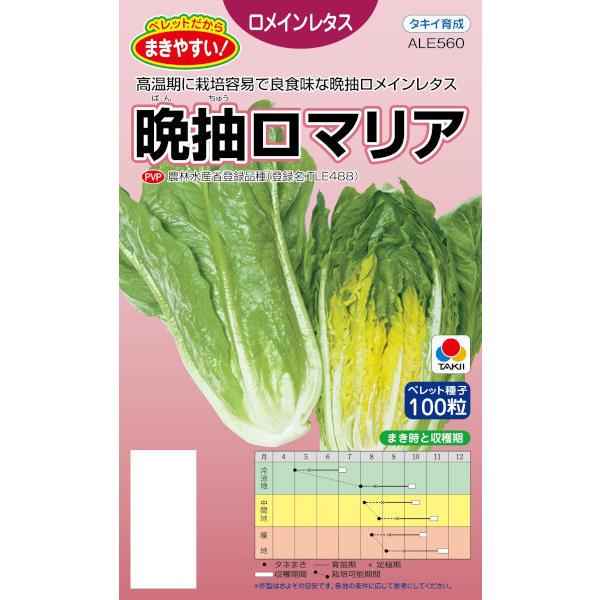 高温期でも作りやすいロメインレタス。レタス根腐病に強く、形状が安定する。葉肉が厚く、シーザーサラダや炒めものが楽しめる。