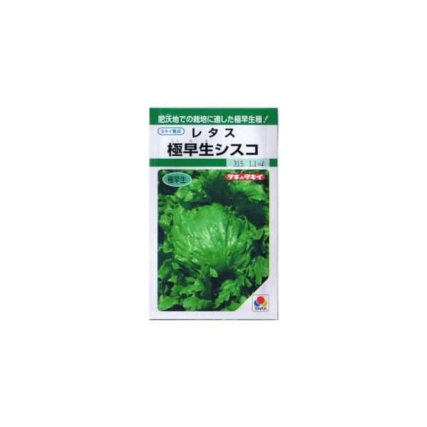 株張りがコンパクトで、肥沃地での栽培に適する。耐暑性と高温期の結球性にすぐれ、抽苔は比較的遅く栽培しやすい。玉は鮮緑色で内部までよく着色し、肉質は厚く、日もちにすぐれる。適期栽培では、定植後35〜40日程度で収穫できる極早生種。