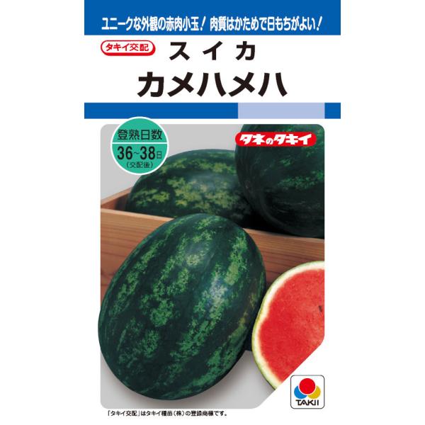 果重3~3.5kg程度の果赤肉小玉、外観は枕形でユニークな縞皮。果皮は粘りがあり裂果がほとんど出ない。肉質はかためで日もちよく、収穫適期の幅が広い。