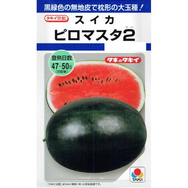 果重8〜10kg程度になる枕形の大玉種。肉質は中柔で繊維が少なく、食味がよい。耐病性があり、つるもちがよく栽培容易。スイカの種子,スイカのタネ,すいかの種子,すいかのタネ,西瓜の種子,西瓜のタネ,ピロマスタ２の種子,ピロマスタ２のタネ,ぴろ...