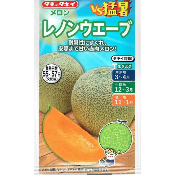 ●果重1.5〜1.7kg、糖度16〜17度で品質の良い赤肉メロン。●草勢は強めで着果も安定し、収穫期のつるもちがよく作りやすい。●種子部が小さく、皮際まで甘く可食部が多い。メロンの種子,メロンのタネ,めろんの種子,めろんのタネ,レノンウエー...