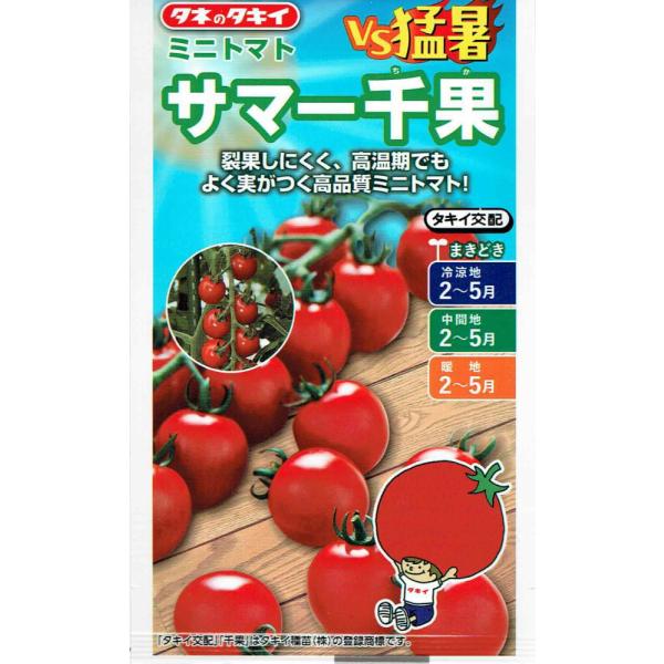 ●短節間で管理しやすく、高温期でも実がつきやすい。●裂果が少なくヘタがとれにくいので品質の良いトマトが収穫できる。●果実サイズは20〜25gで安定。つやがある濃赤色の果実でおいしい。ミニトマトの種子,ミニトマトのタネ,みにとまとの種子,みに...