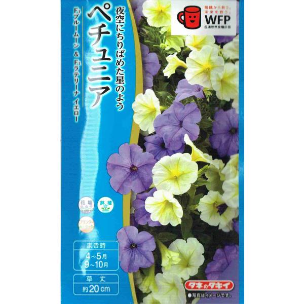 夜空にちりばめた星のよう