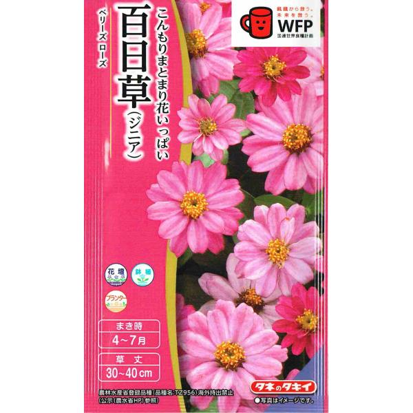 こんもりとまとまり花いっぱい