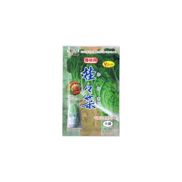播種後55〜60日球重300〜500g前後で収穫するベビー白菜です。草姿は立性、草勢は中位。普通白菜と比べて、外葉が非常にコンパクトで、超密植栽培（株間20cm×条間30cm、10,000株/10a3条千鳥植え）で栽培します。