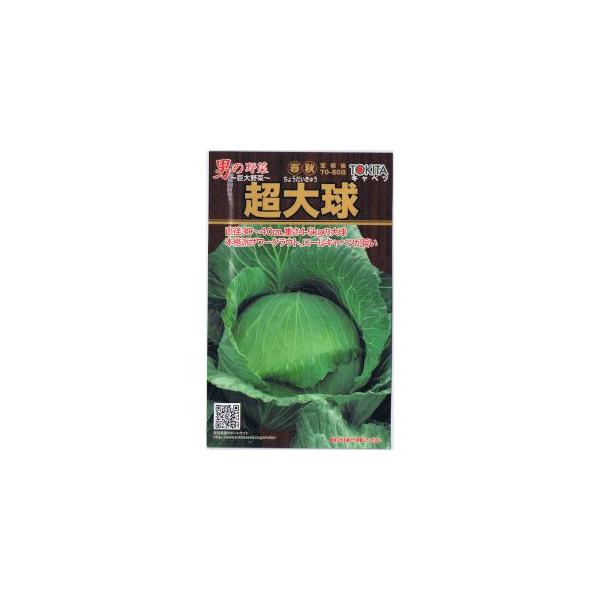 日本で最も大きいキャベツとして知られる札幌大球の系統に耐病性の強い寒玉系統を入れて育成した大球品種。草勢強く、平地で栽培でき、球重4〜5kgにもなる。葉は軟らかく平滑で食味に優れる。ザワークラウトやコールスローの材料として海外では現在も多数...