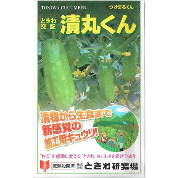 キュウリ　漬丸くんのタネ　まったく新しい形の加工用きゅうりです。浅漬け・生食（12〜13cm）から奈良漬・鉄砲漬け（20cm）まで