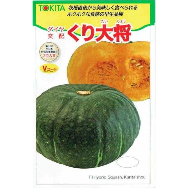 収穫直後から美味しく食べられ、追熟は不要。糖度が高く、果肉は粉質で食味が非常に良い。着果吾45日程度で収穫可能な早生品種。雌花の着果が多く、果重2.0kg程度に肥大し、安定した着果性を持ち、早生種の中では最高の多収種品種。果肉は鮮やかな橙黄...