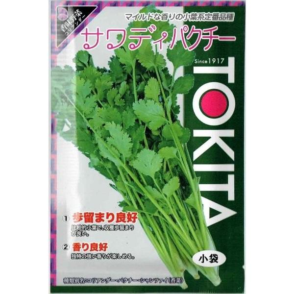 サワディパクチーはコリアンダーの中では一般的なタイプで周年栽培可能です。葉は比較的小さく、葉色やや淡いが香りは強い。サラダやスープの添え物などで食べるとおいしい。エスニック料理に利用されています。